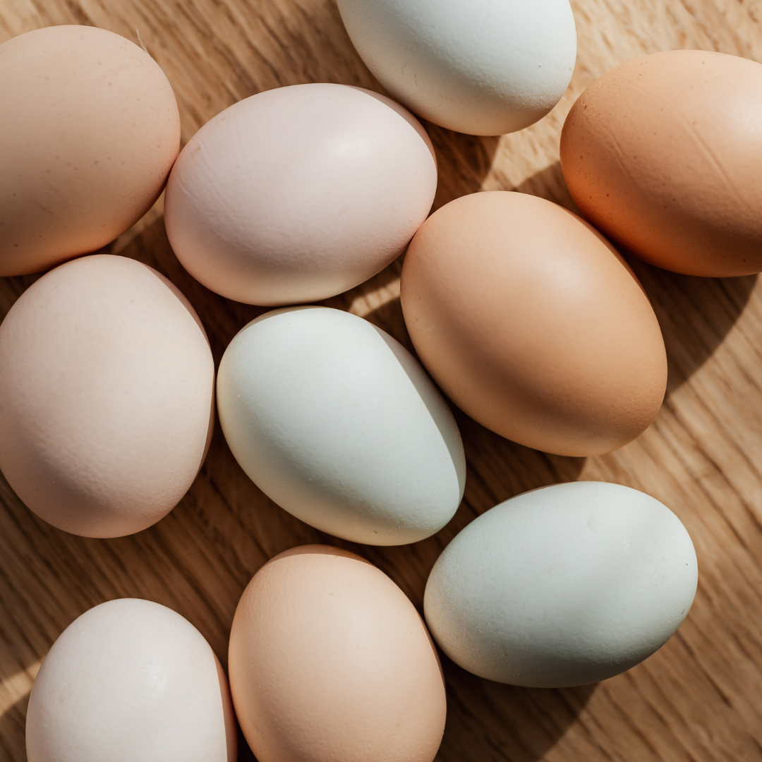 Protein Calculator - Metabolic